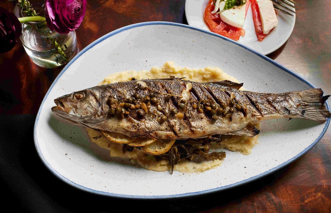 Trellis Room Restaurant | Italian Dining in Downtown Mobile, AL